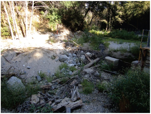 Figure 2.3 Arroyo Seco stream downstream of the Diversion Structure viewed